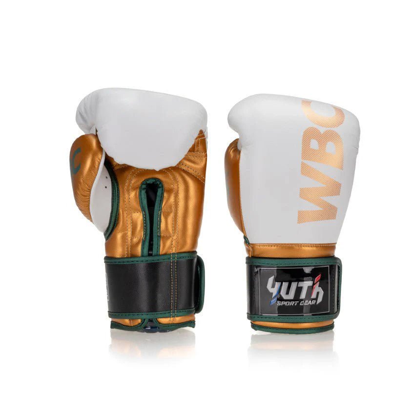 Buy Boxing Gloves from Thailand Online - Best Pro & Beginner Gloves